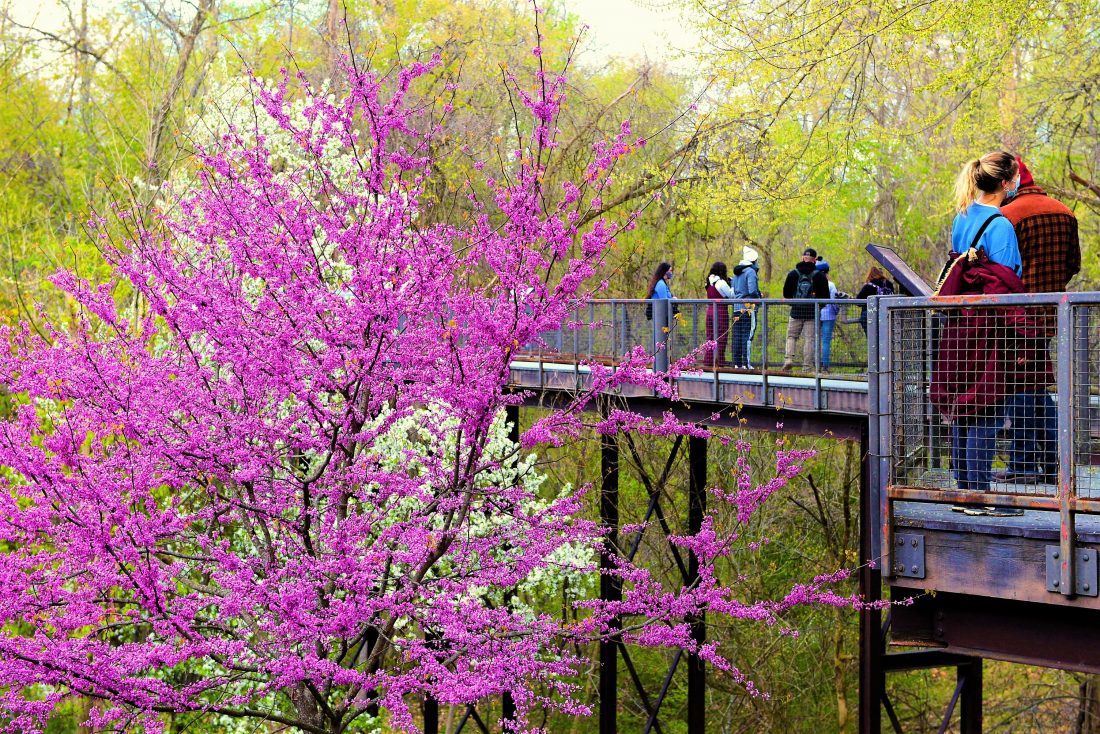 Visitors to Oglebay Park, Bear Rock Lakes Enjoy Nature’s Splendor on ...